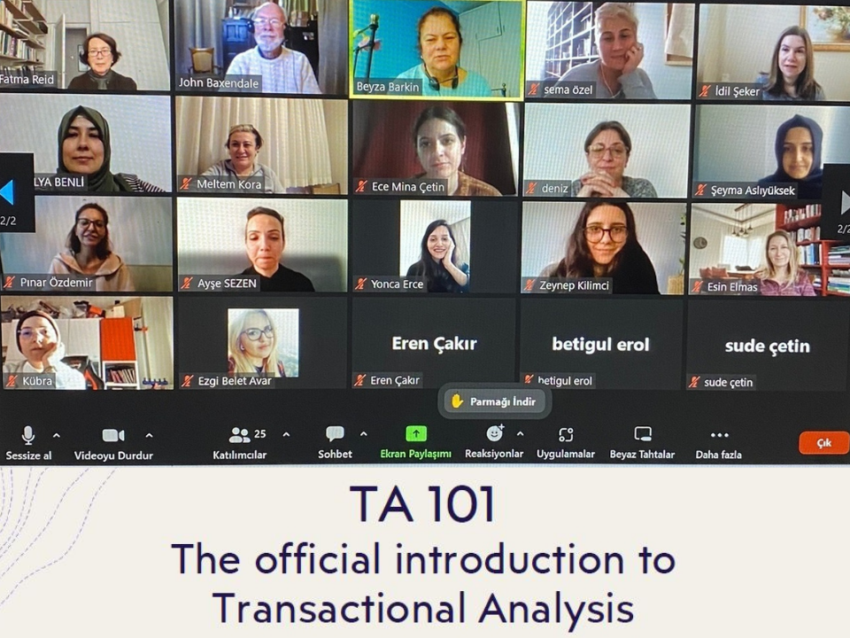 Ta 101 Temel Transaksiyonel Analiz Eдџitimi Gerг Ekleеџti вђ Transaksiyonel